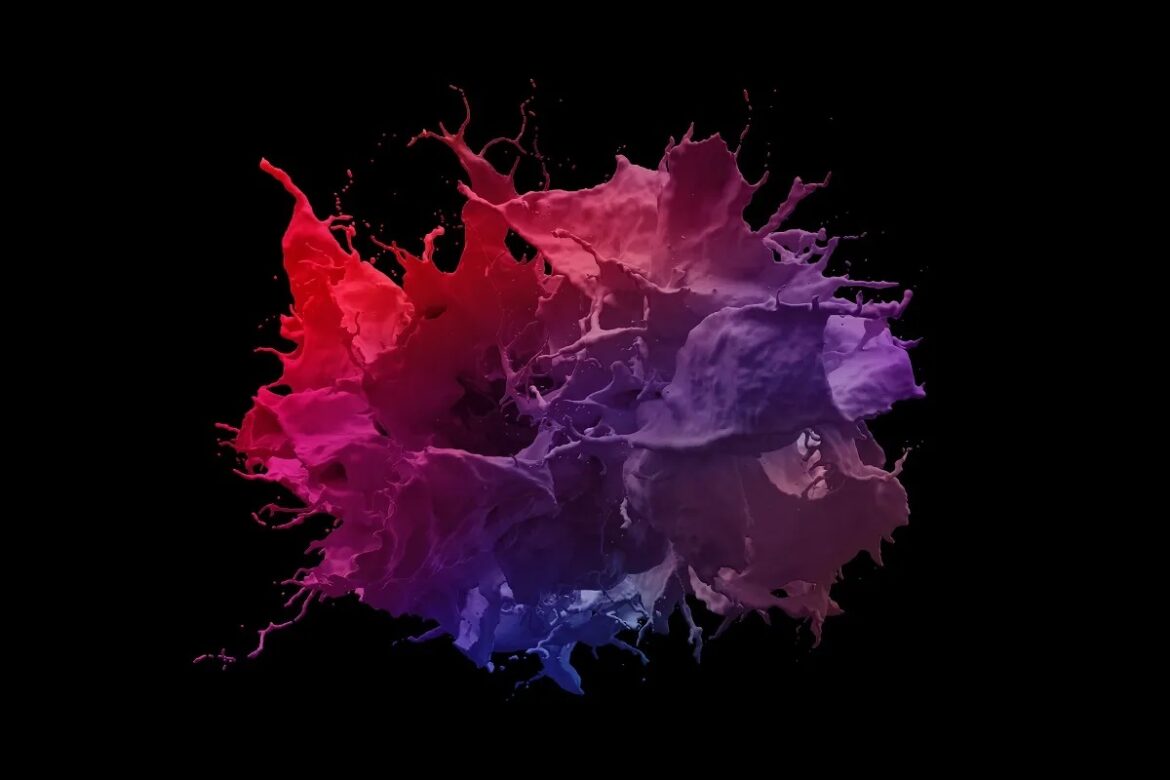 Shape in Photography [Examples & Definition]