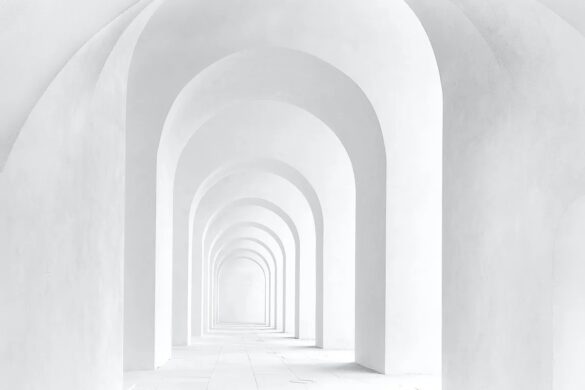 Shape in Photography [Examples & Definition]