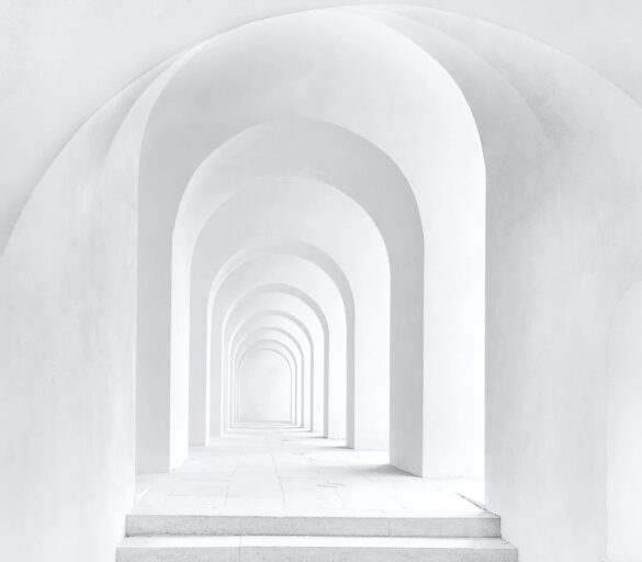 What is White Balance in Photography - Explained