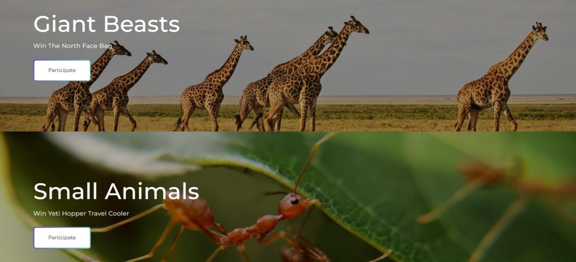 10 Wildlife Photo Contests to Enter in 2024
