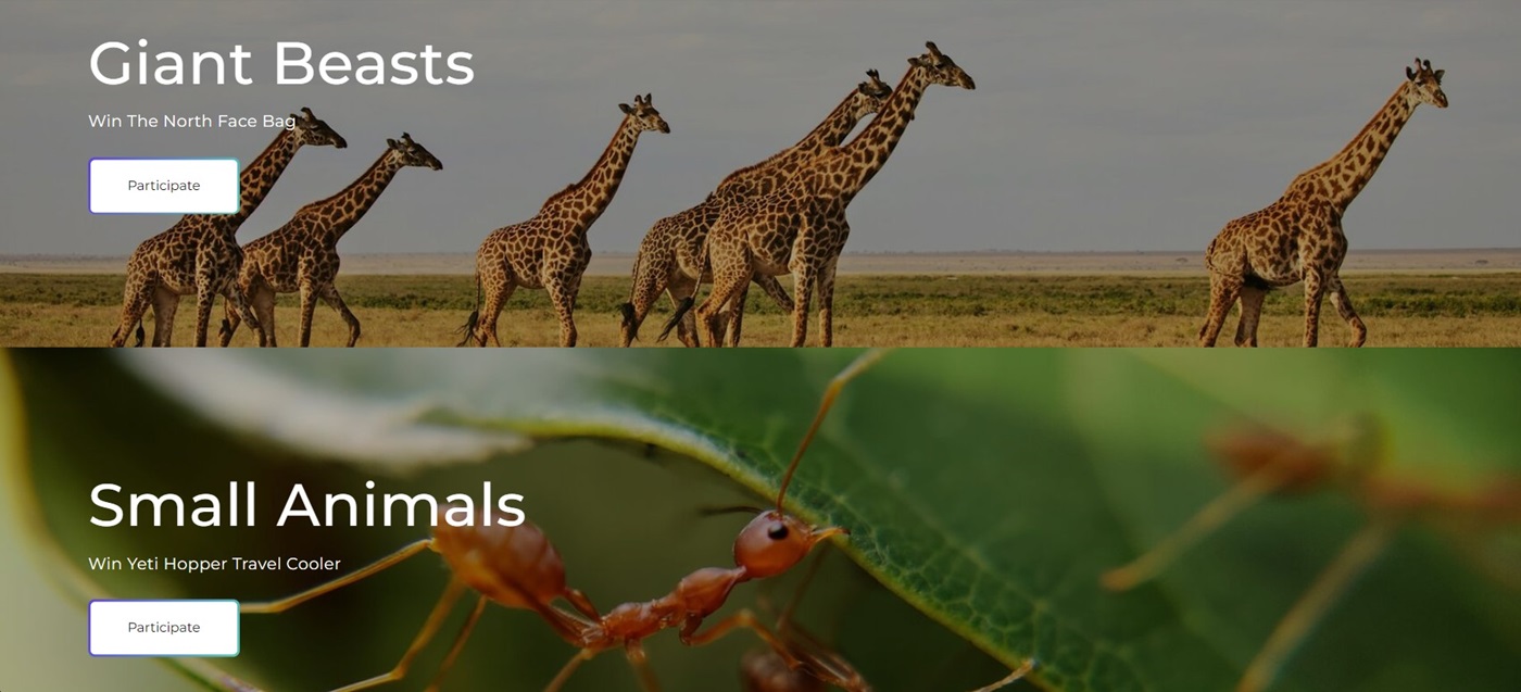 10 Wildlife Photo Contests to Enter in 2024