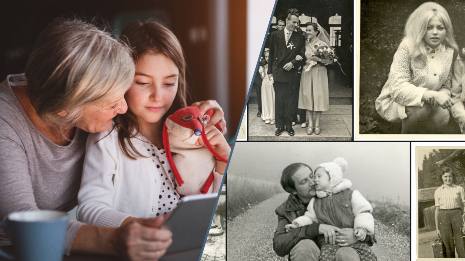 The Two New Mylio Plans for Seamless Family and Team Collaboration ...