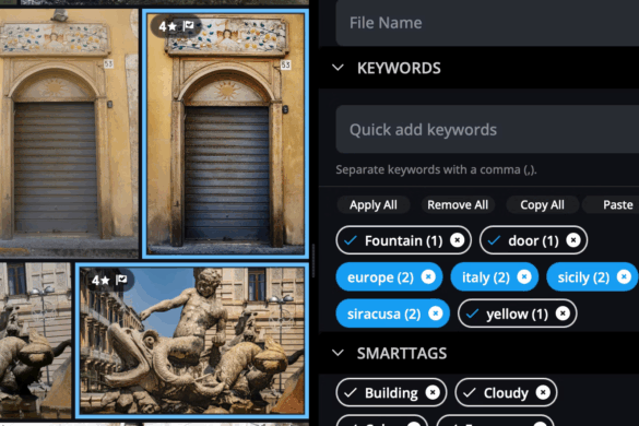 Shape in Photography [Examples & Definition]