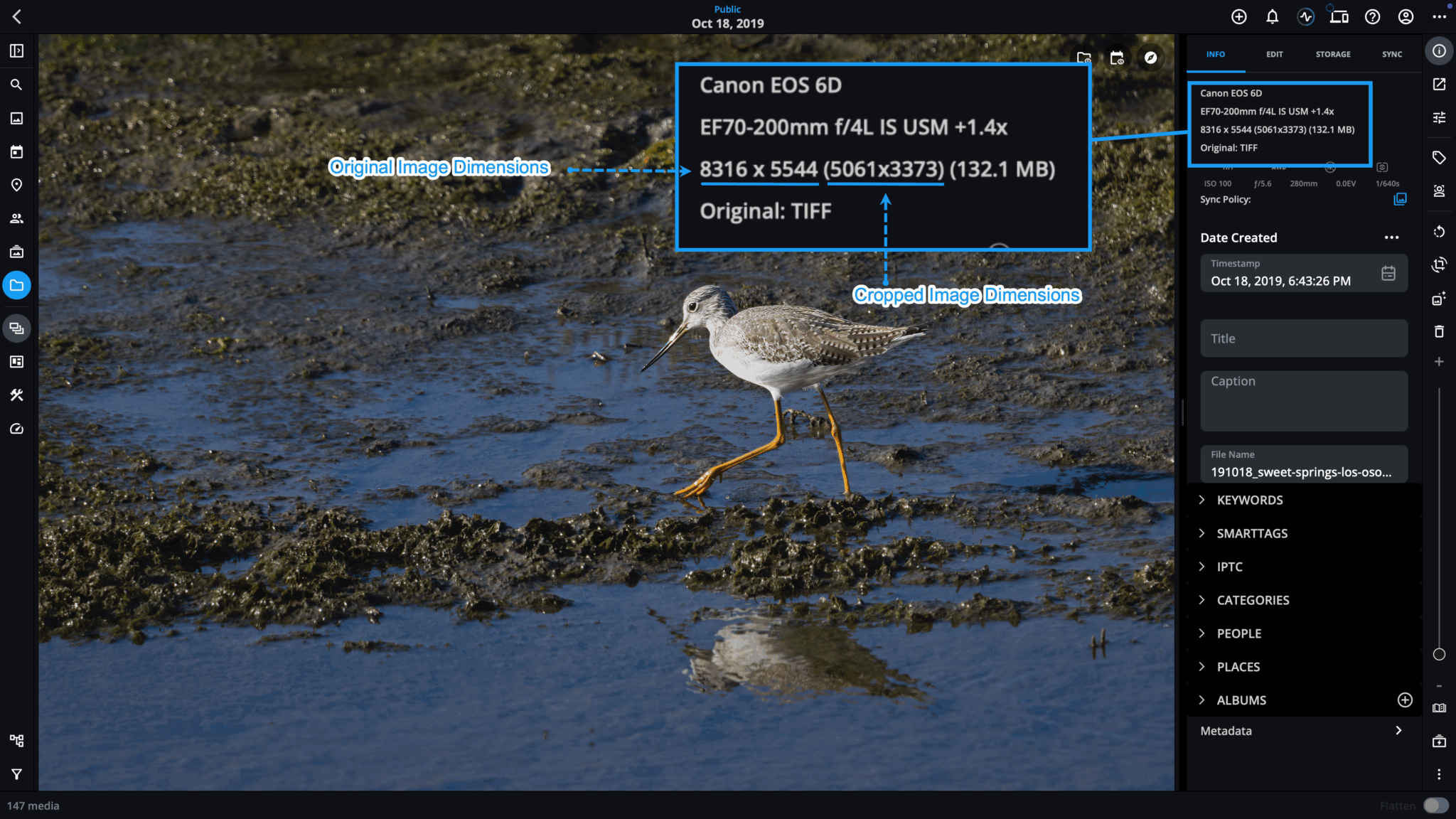 How to Prepare Photos for Printing: Resolutions, Edits, and File ...