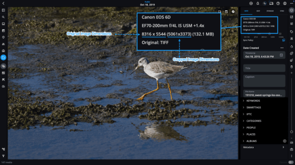 How to Prepare Photos for Printing: Resolutions, Edits, and File ...