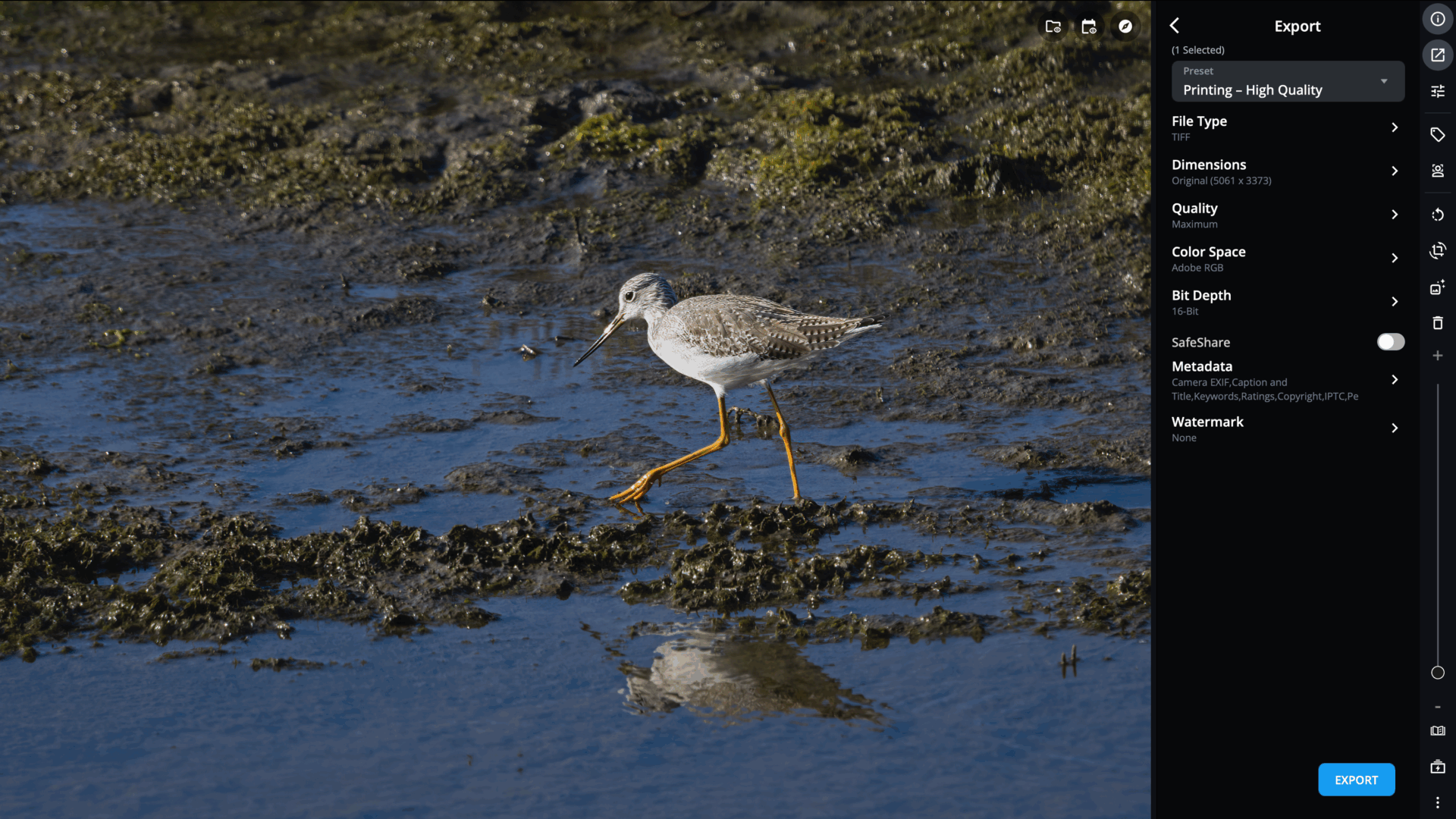 How to Prepare Photos for Printing: Resolutions, Edits, and File ...