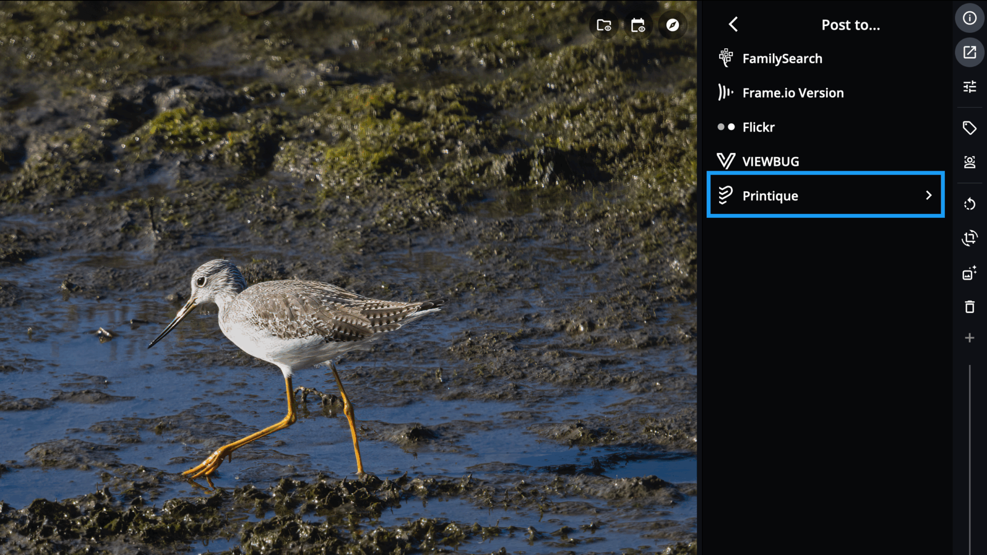 How to Prepare Photos for Printing: Resolutions, Edits, and File ...