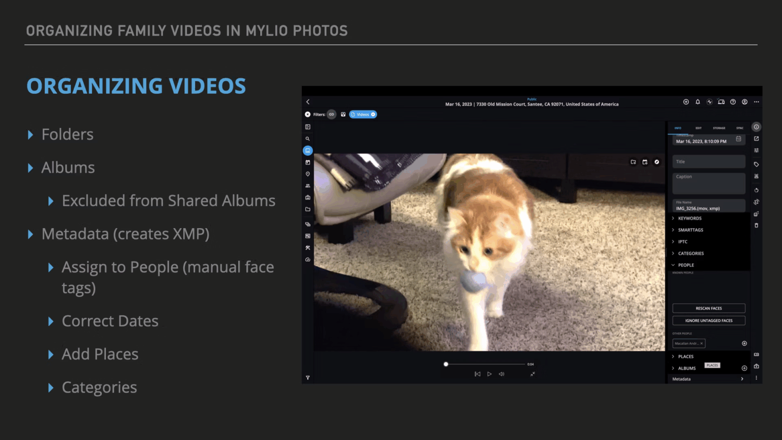 How to Organize Family Videos with Mylio Photos - Mylio Photos Blog